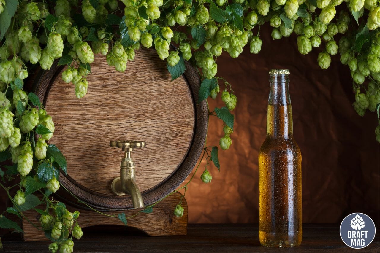 Kentucky Bourbon Barrel Ale Nutrition Facts | Besto Blog