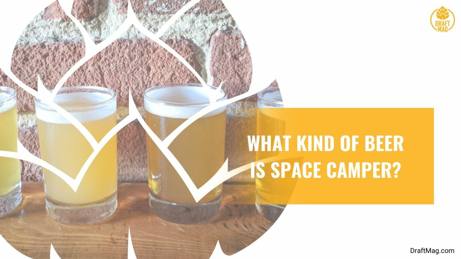 Space Camper Ipa Review: A Guide to the Out of This World Brew