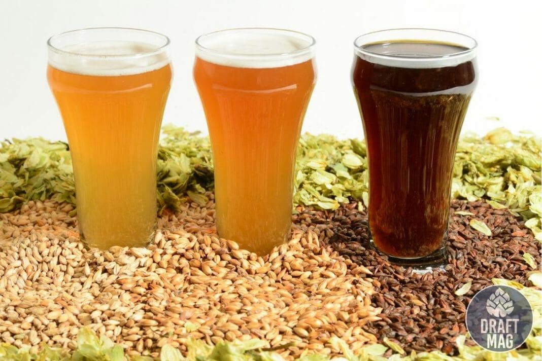 Terra Beer Review: A Close Look at This Top European Pale Lager