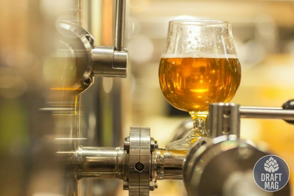 The 23 Most Popular Beers in America That Everyone Loves