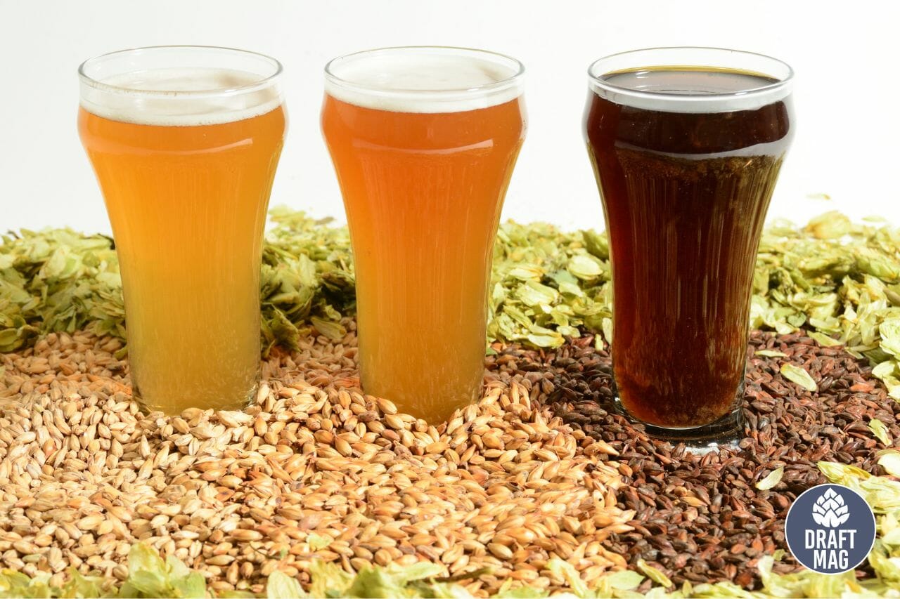 The 23 Most Popular Beers in America That Everyone Loves