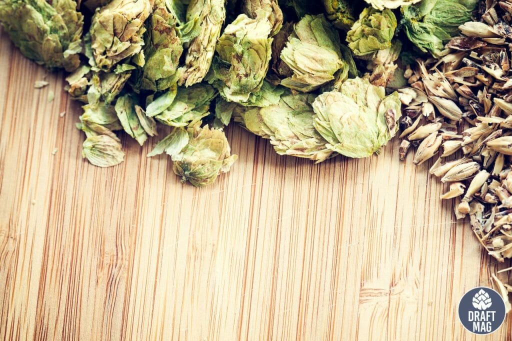 Nelson Sauvin Hops Guide: Why Is It Called the “Extreme” Hop?