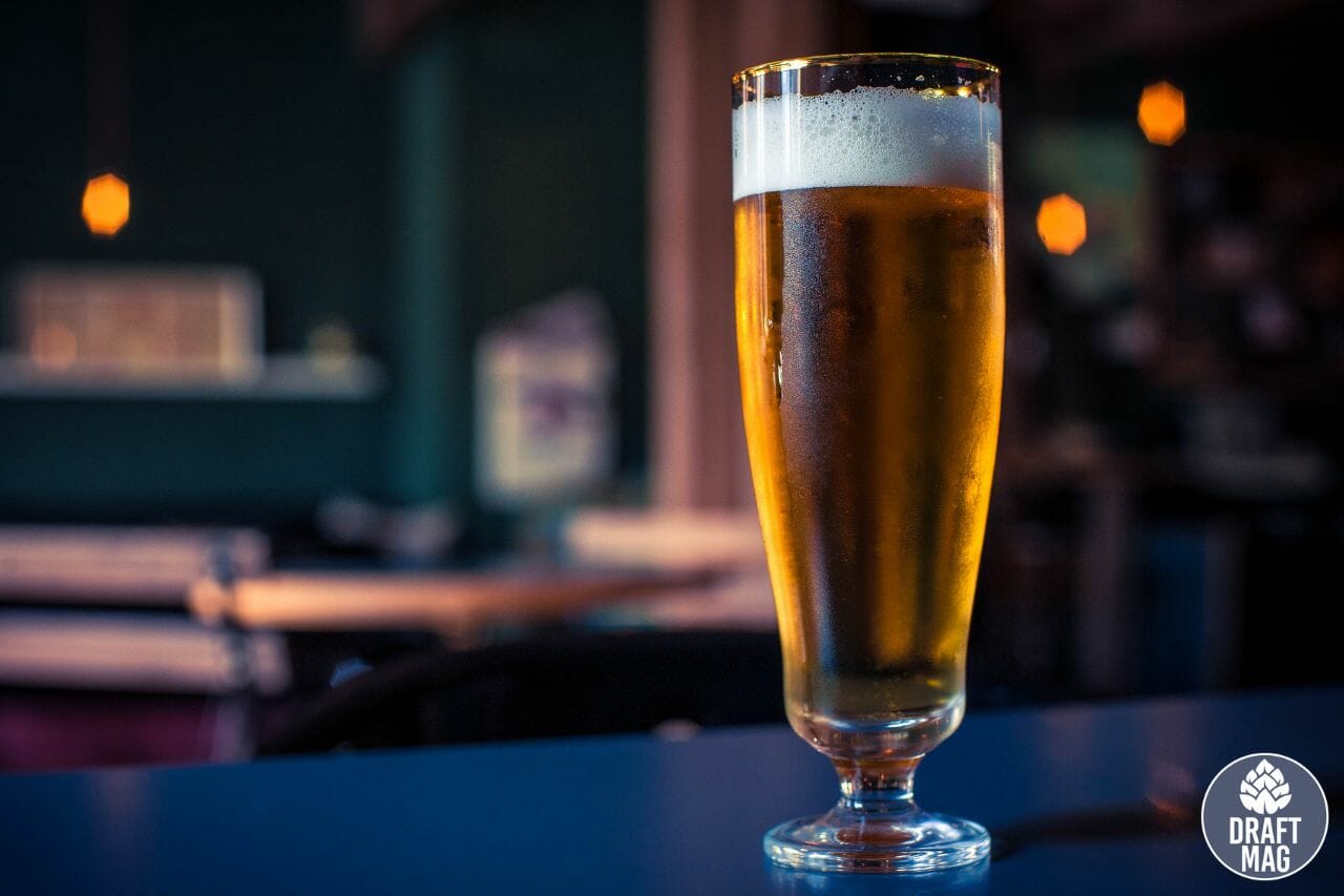 Orange Blossom Pilsner Review: Beer That Uses Real Orange Blossom Honey
