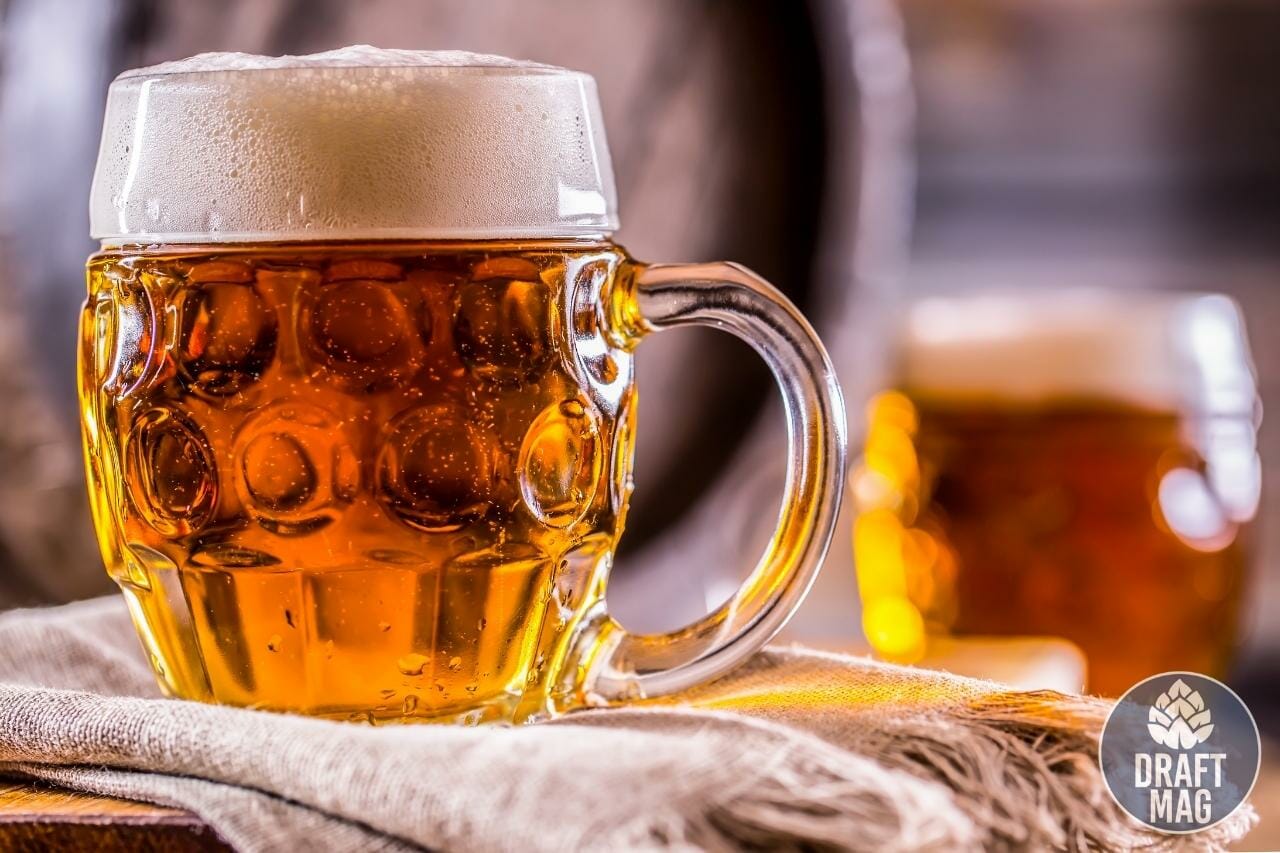 Out of Order Beer Review: Unveiling One of the Finest Sour Beers