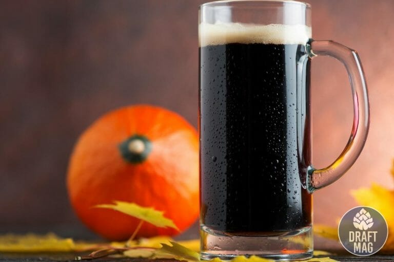 Porter vs Stout: Things To Know Before Making Your Selection