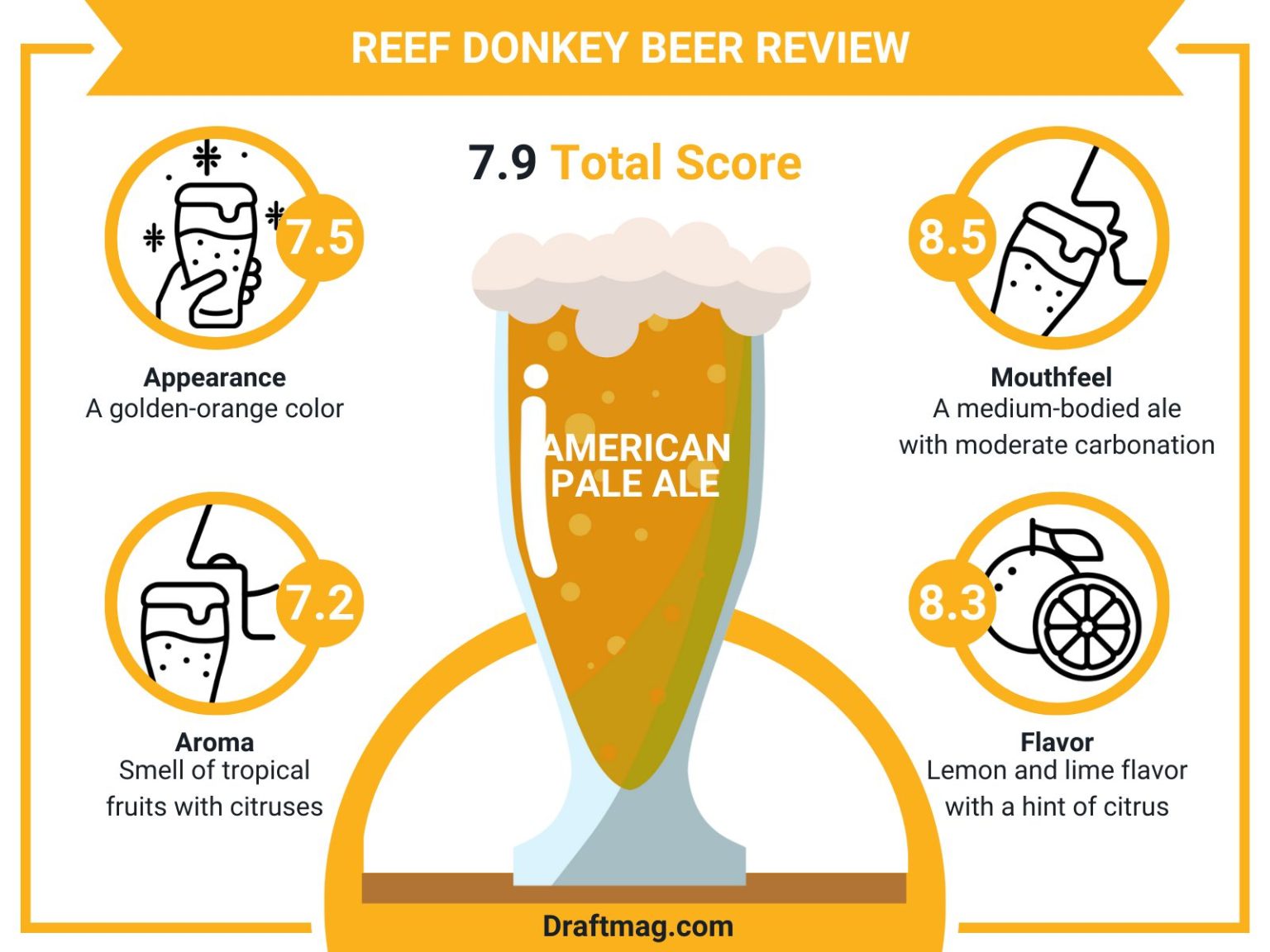 Reef Donkey Beer Review: Everything You Must Know
