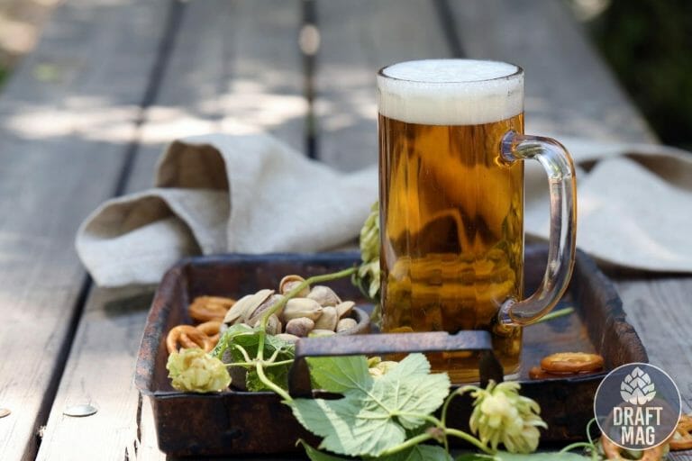 Fiddlehead IPA Review: Why You Can’t Get Enough Of This Vermont IPA