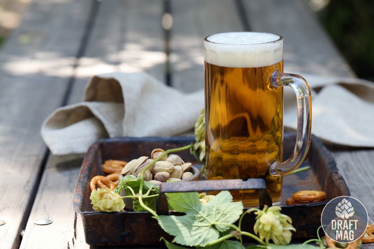 Salty Crew Beer Review: Is This Coronado Beer Salty?