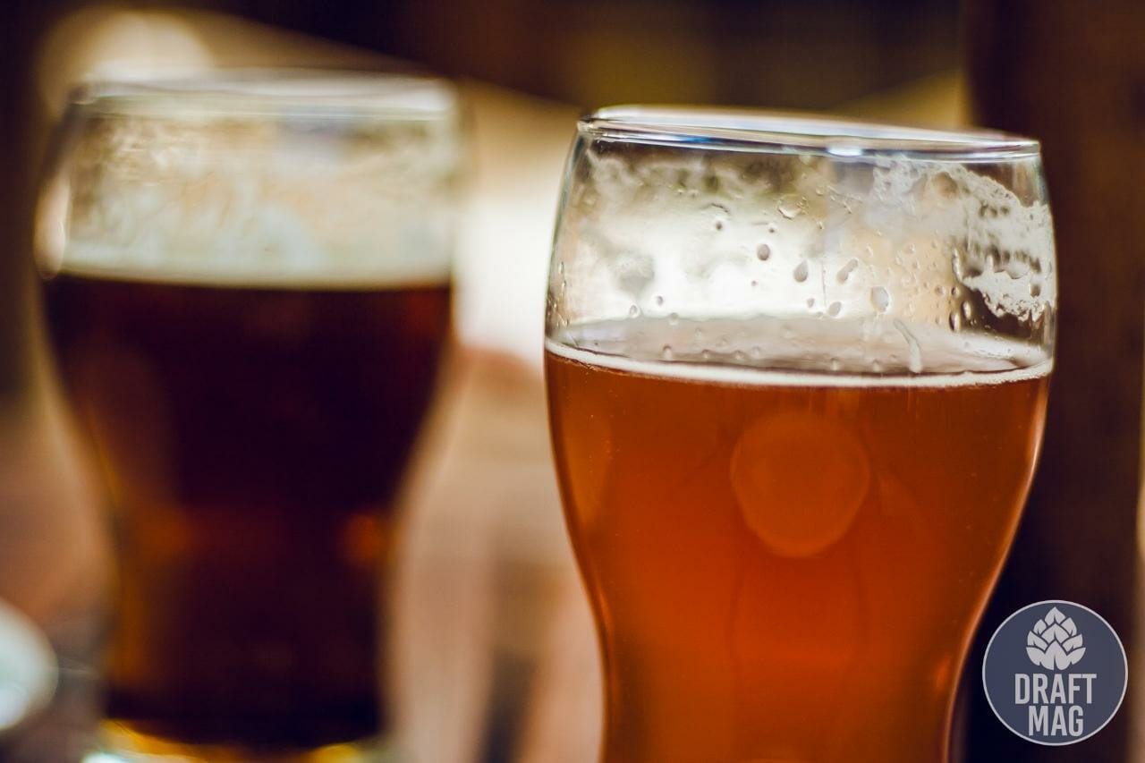 Salty Crew Beer Review: Is This Coronado Beer Salty?