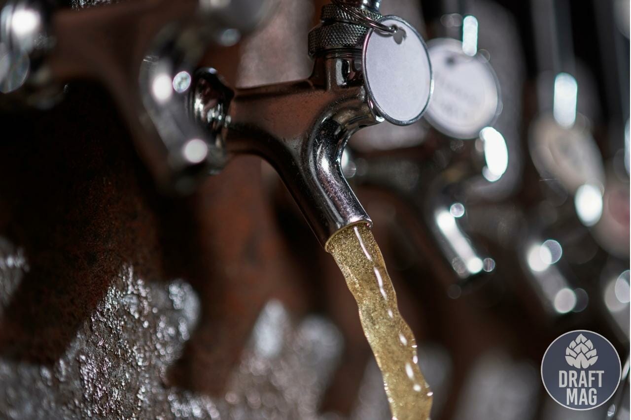 Sam Adams Wicked Easy Review: Complete Guide to This Light Ale