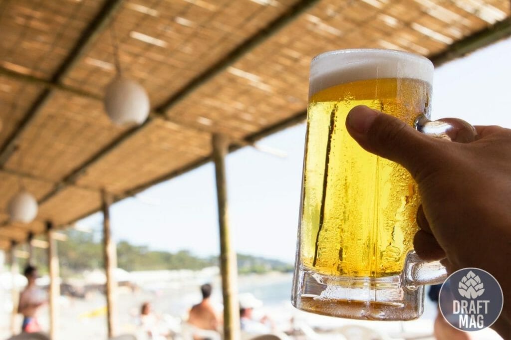 Schaefer Light Beer Review: A Guide to an Exciting American Lager