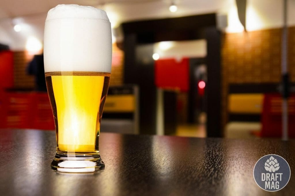 Scofflaw Basement IPA Review: Detailed Overview of This Inventive IPA