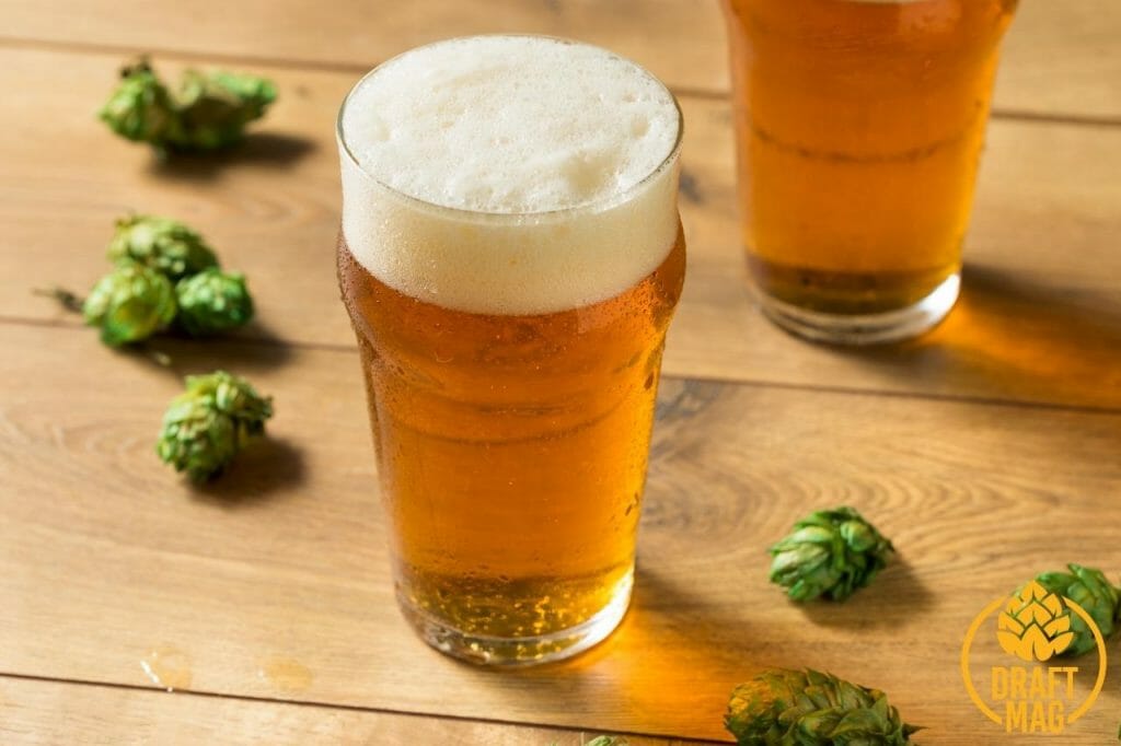 Space Camper Ipa Review: A Guide to the Out of This World Brew