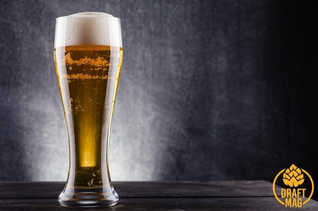 Modelo Negra Review: The Dark Mexican Beer That Tastes So Different