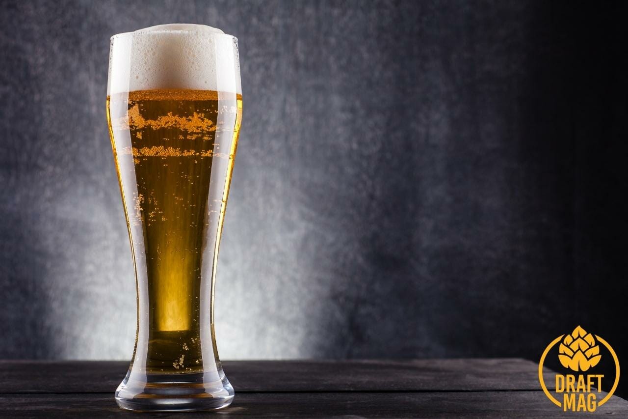 Space Camper Ipa Review: A Guide to the Out of This World Brew