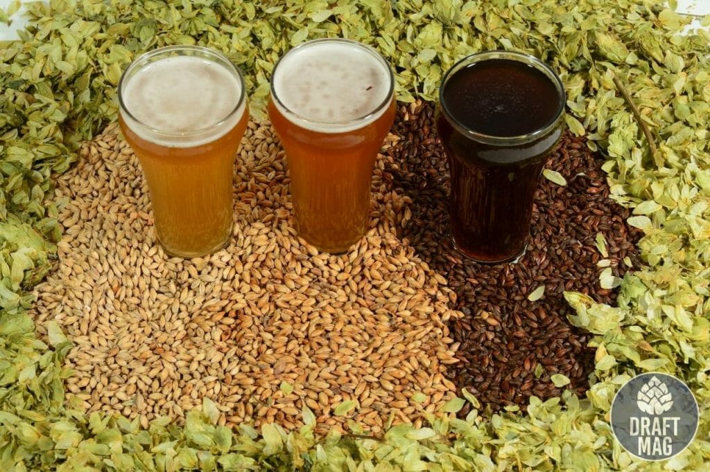 Natty Daddy Beer: A Review of This Malty Light Beer From AB InBev