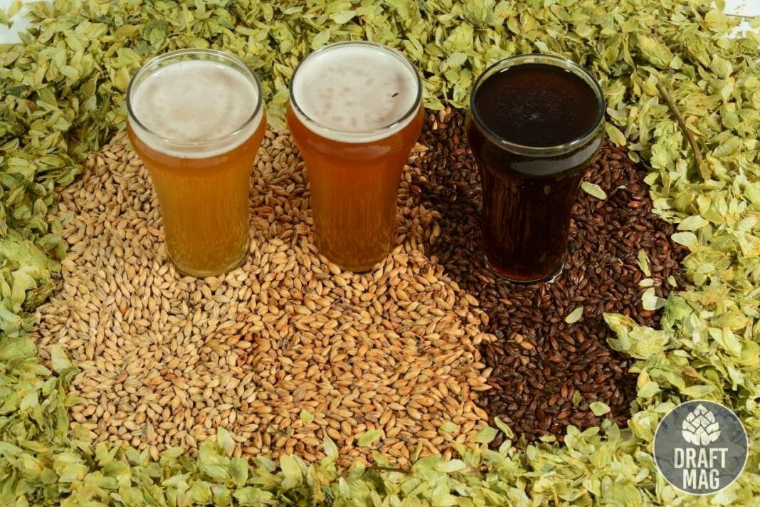 Michelob Ultra Prickly Pear Review: The Perfect Specialty Brew