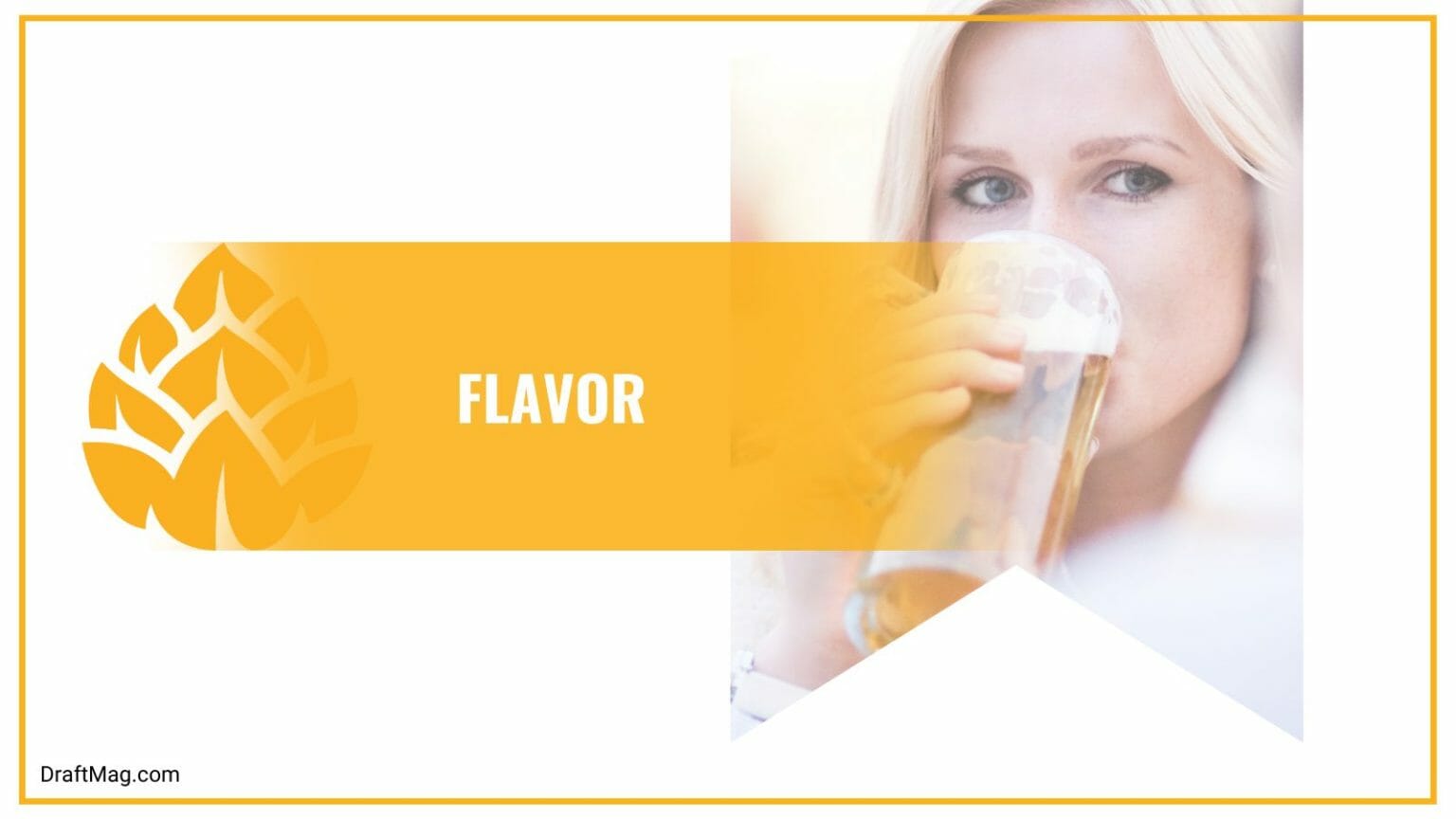 Flying Horse Beer Review: A Guide to This Popular Indian Beer