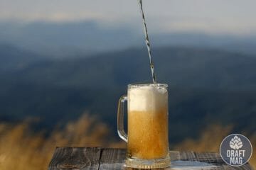 Terra Beer Review: A Close Look at This Top European Pale Lager