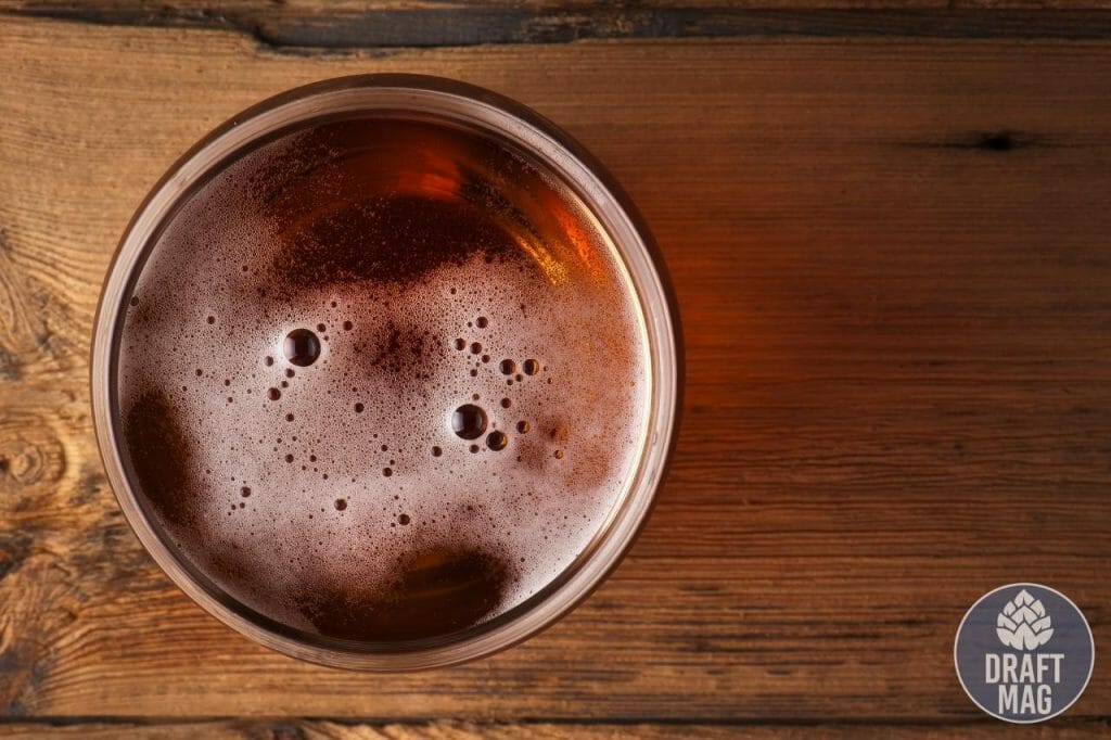 Terra Beer Review: A Close Look at This Top European Pale Lager
