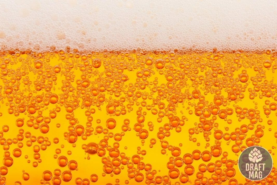 Bodhizafa IPA Review: An Award-winning Fruity and Hoppy IPA