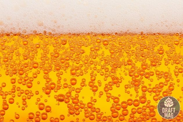 Famosa Beer Review: Classic Example of a Great American Lager