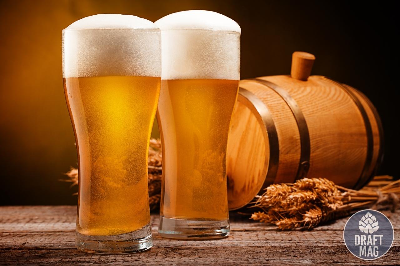Best San Jose Brewery: A Complete Guide to the Top Pubs in San Jose