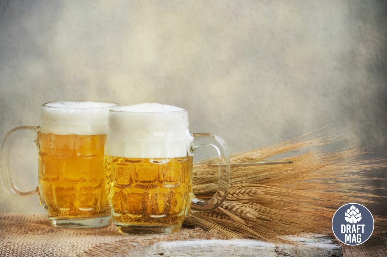 Totally Naked: Everything You Need To Know About This Exotic Beer