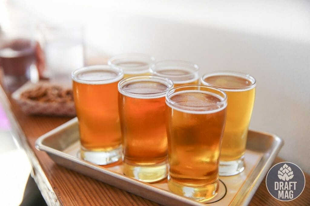 Tower Station IPA Review: A Look at This Tropical Fruity IPA