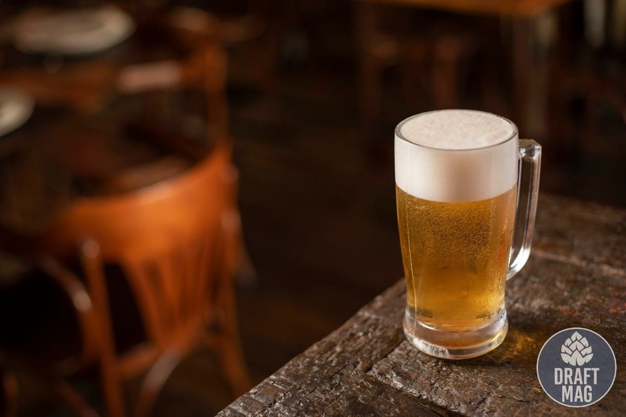 Terra Beer Review: A Close Look at This Top European Pale Lager