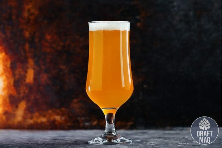 Electric Jellyfish IPA: A Review of the Top Beer for All Hop Heads