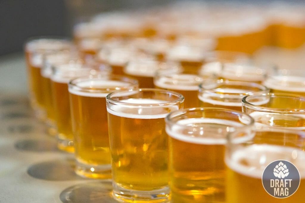 Voodoo Ranger v2K Review: Why the Citrusy Ipa Is the Talk of the Town