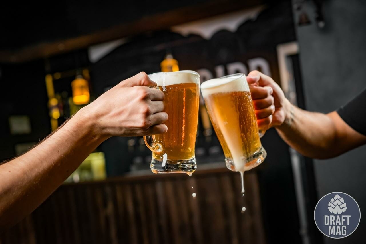 Ale vs Beer: A Complete Guide to Key Differences and Similarities
