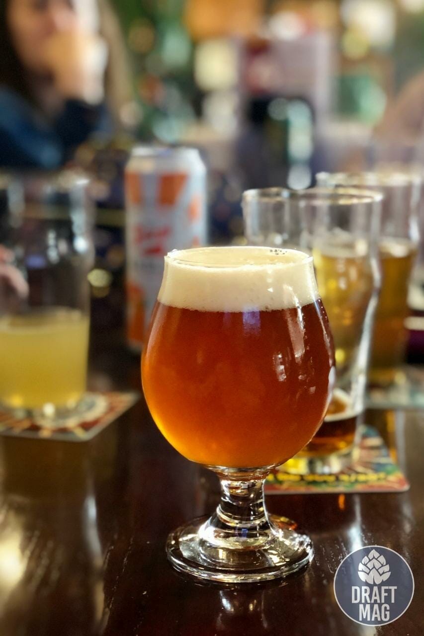 Sessions IPA vs IPA: How To Choose One for Your Next Party