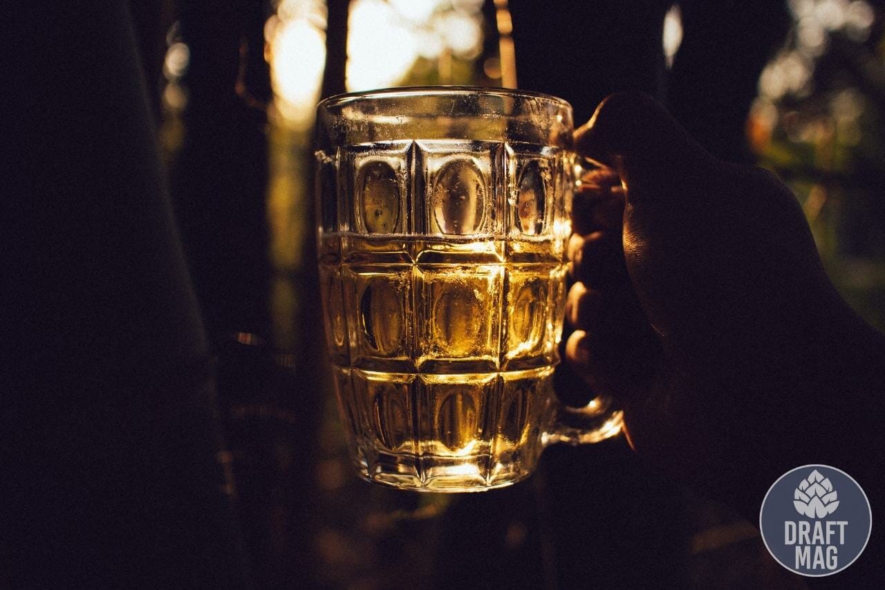 Wolf Pup IPA Review: Unveiling One of the Finest American IPAs