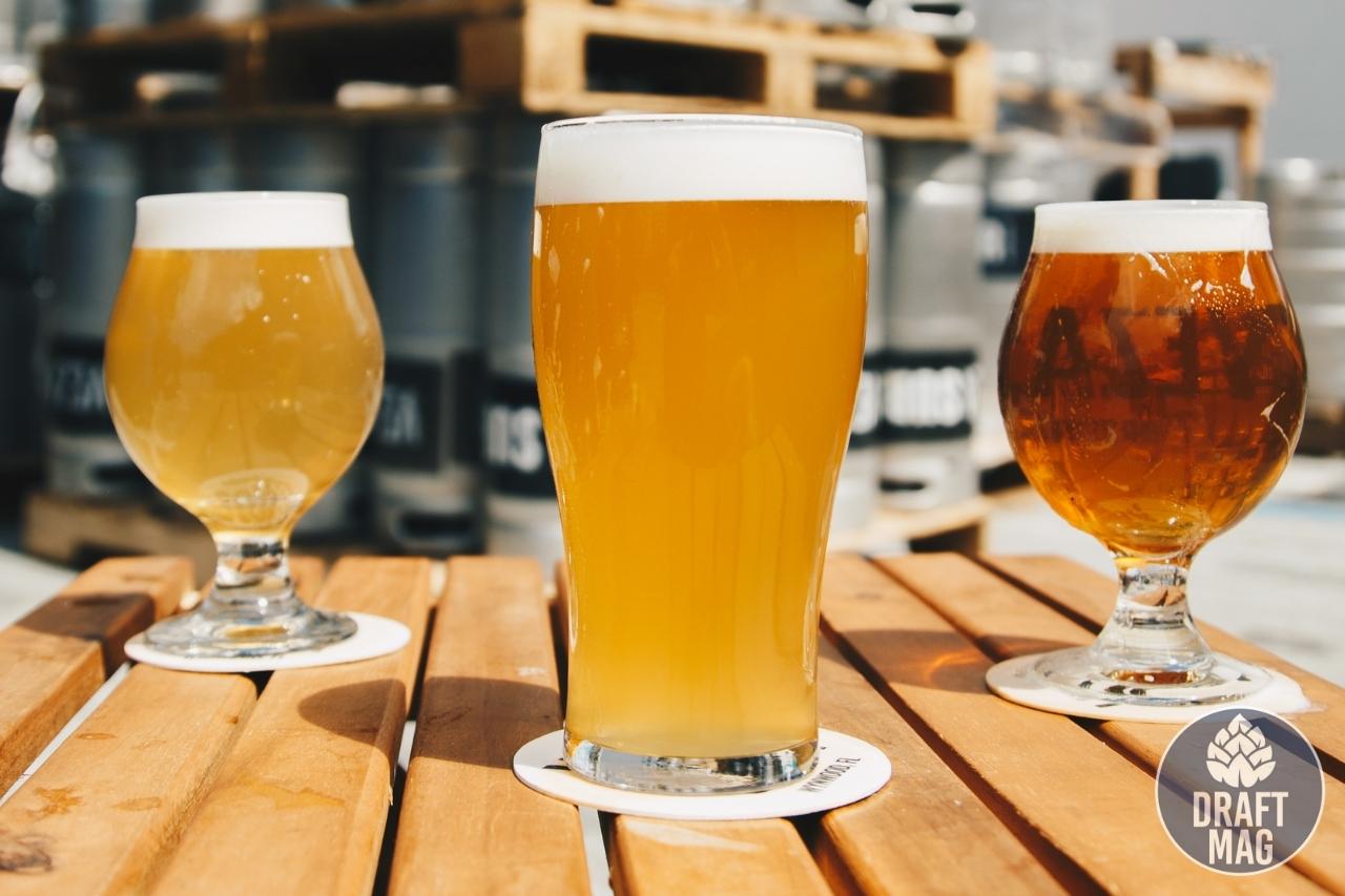 Wormtown Be Hoppy Review: A Complete Guide to This Unique IPA