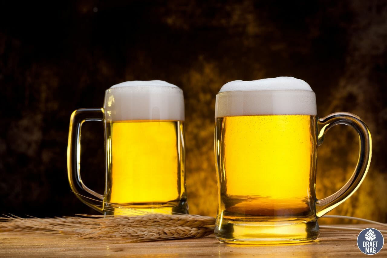 Best Breweries in Sacramento: A Guide To Top-rated Pubs in the City