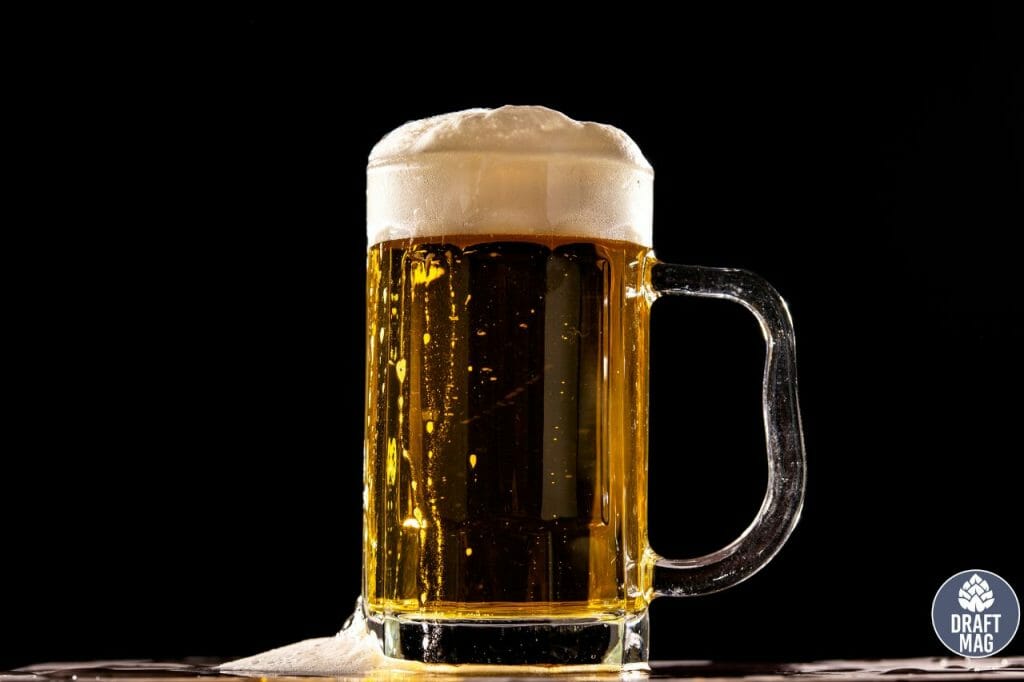 Caguama Beer Review: What You Should Expect According to Our Experts