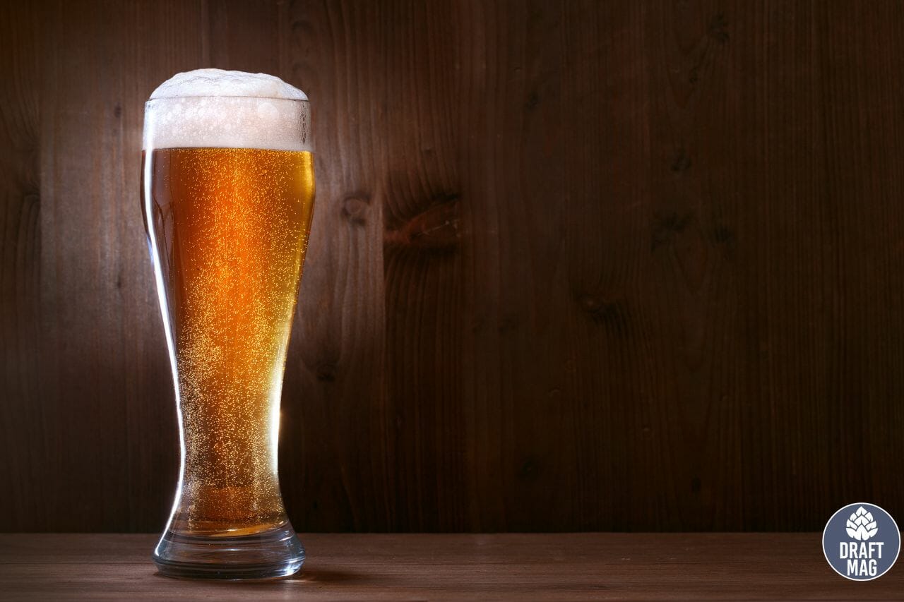 Caguama Beer Review: What You Should Expect According to Our Experts