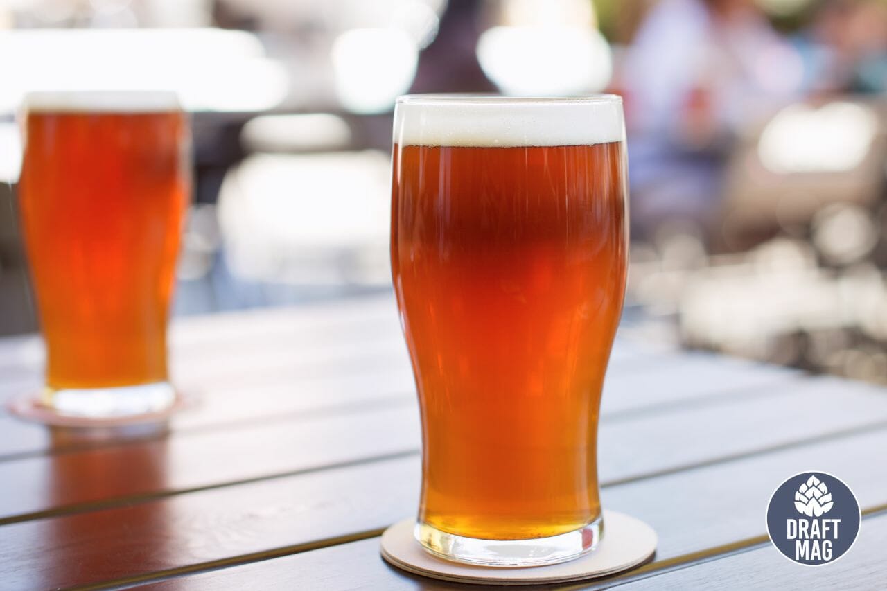 Can O Bliss IPA Review: Is This America’s Finest Tropical IPA?
