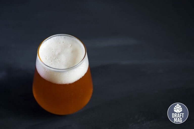 Bodhizafa IPA Review: An Award-winning Fruity and Hoppy IPA
