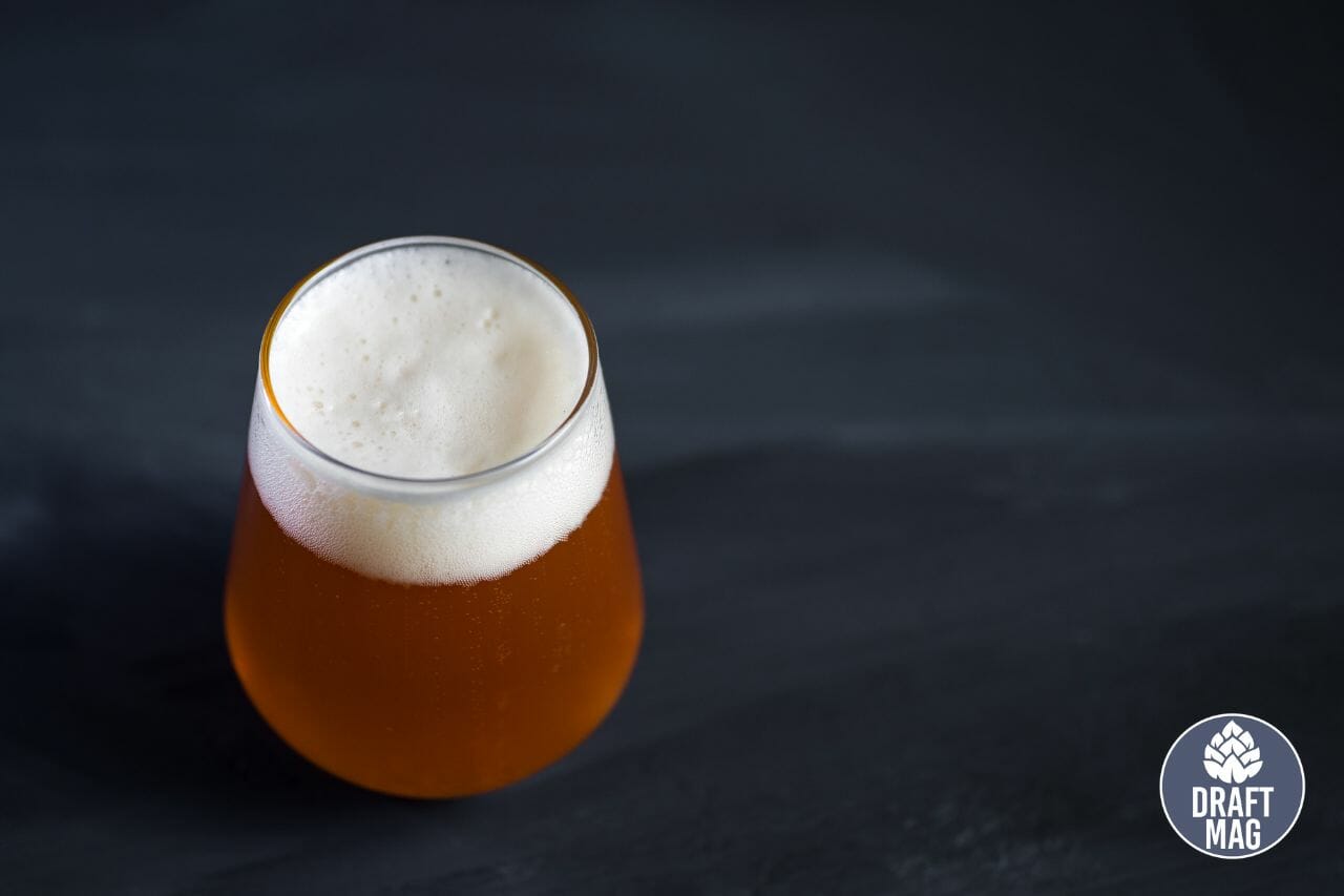 Can O Bliss IPA Review: Is This America’s Finest Tropical IPA?