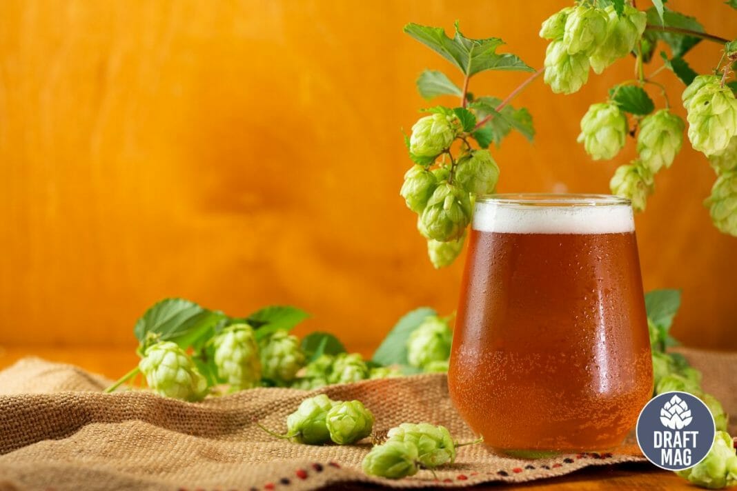 Rice Beer Brands: 13 of the Best-selling Rice Brews in the Market