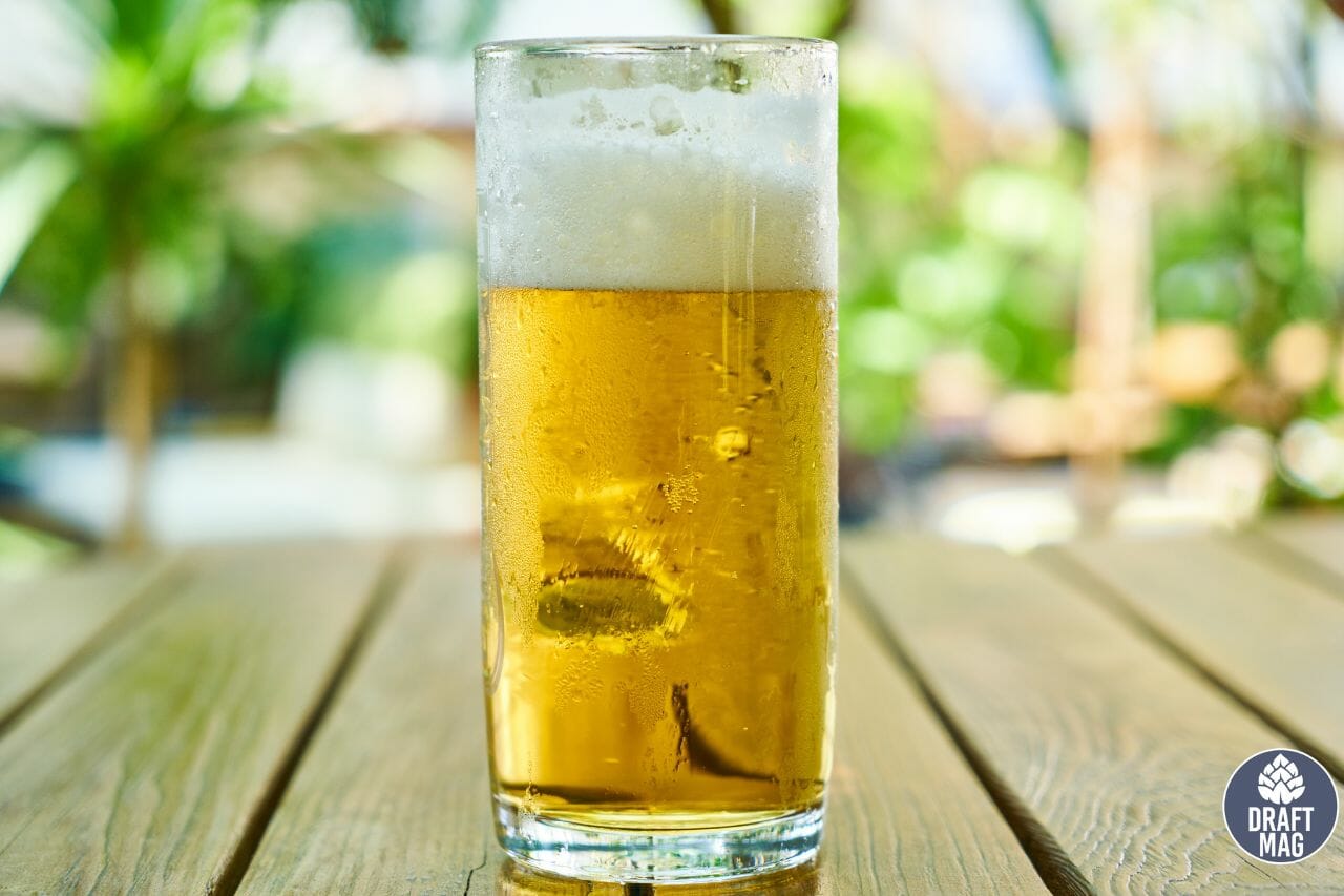 Coors Extra Gold Review: Everything You Need To Know About This Lager