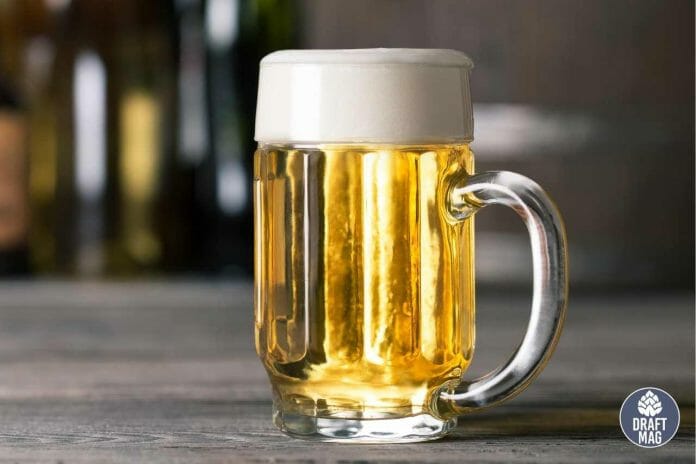 Dos Equis Review: Where German and Mexican Brewing Come Together