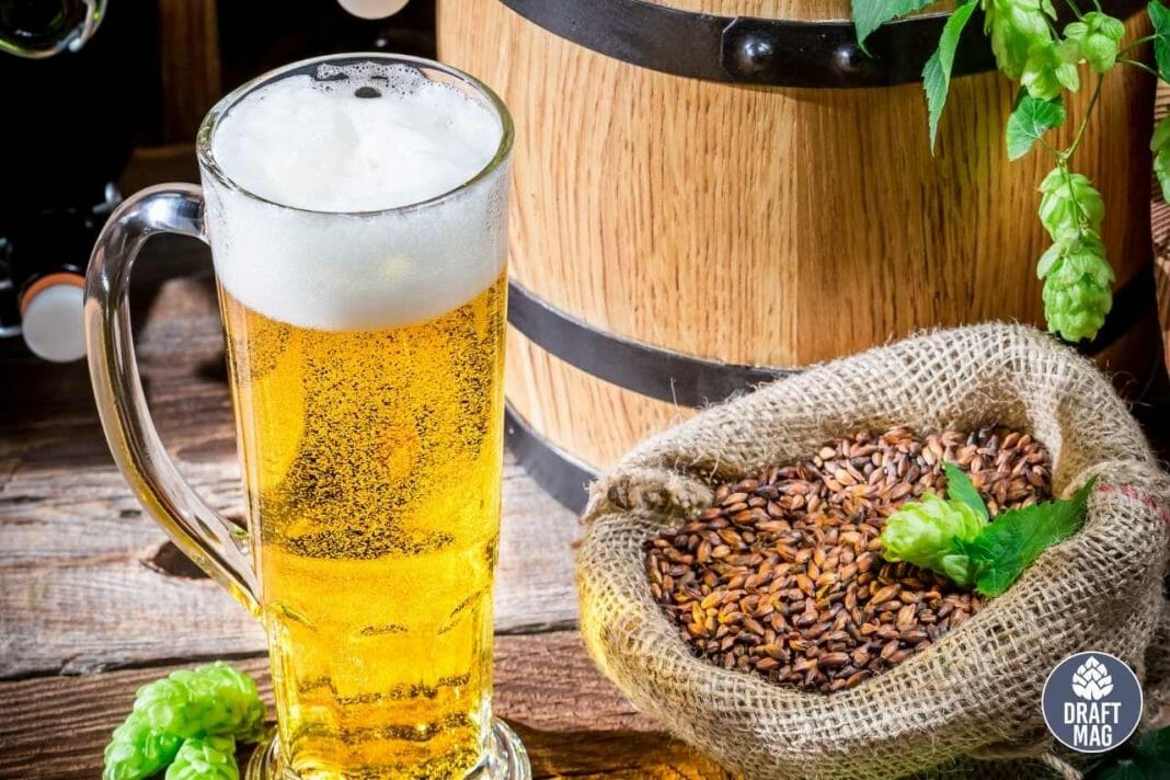 Tropical Beer Hug Review: A Close Look at This Tropical Imperial IPA