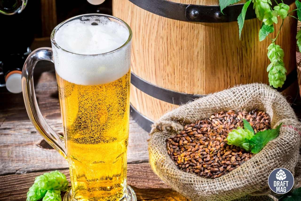 Dos Equis Review: Where German and Mexican Brewing Come Together