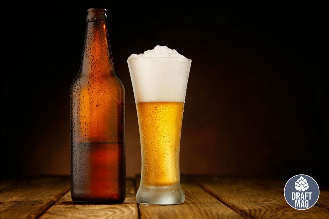 Natty Daddy Beer: A Review of This Malty Light Beer From AB InBev