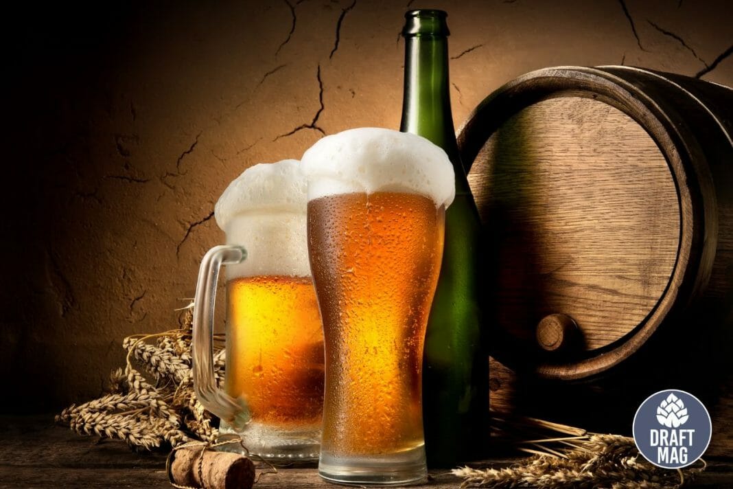 Natty Daddy Beer: A Review of This Malty Light Beer From AB InBev