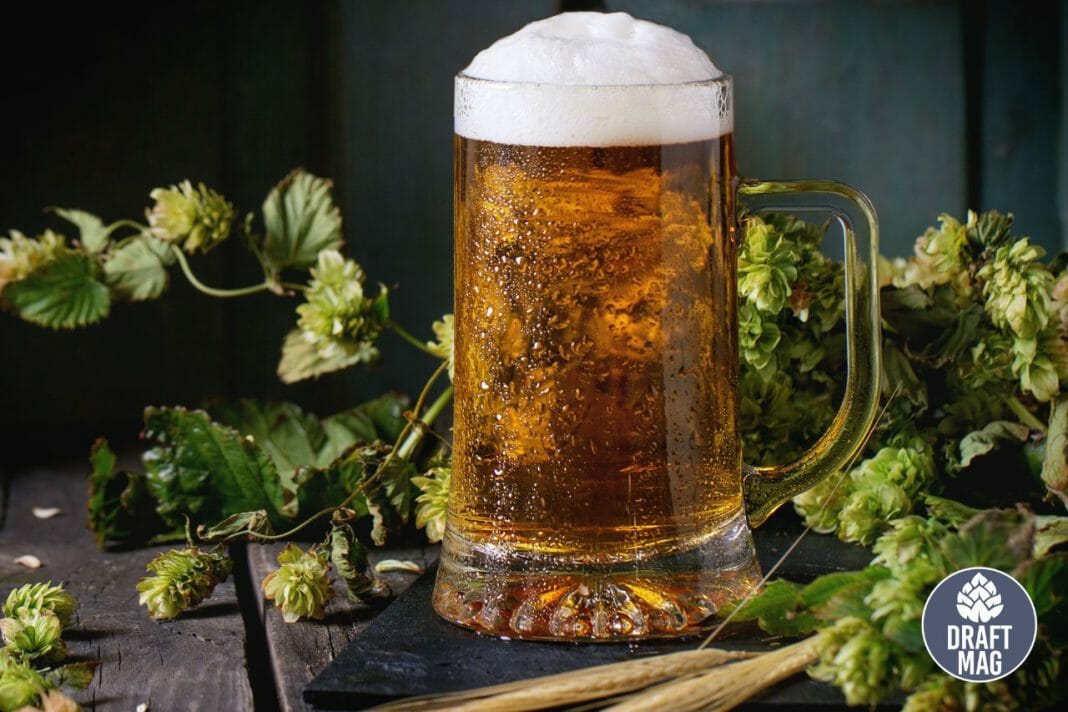 Modelo Limon Y Sal Review: Try This Smooth, Lime-flavored Beer